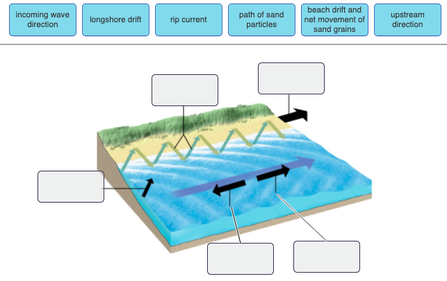 Solved A) Sand transport along the shoreline Wave action | Chegg.com