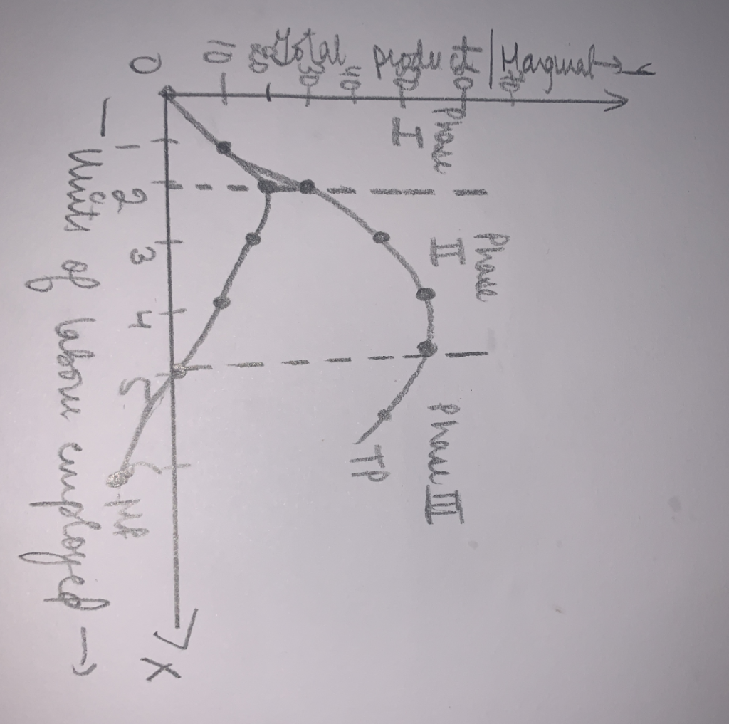 Solved (c) (2pts) Use the numerical values from part (a) to | Chegg.com