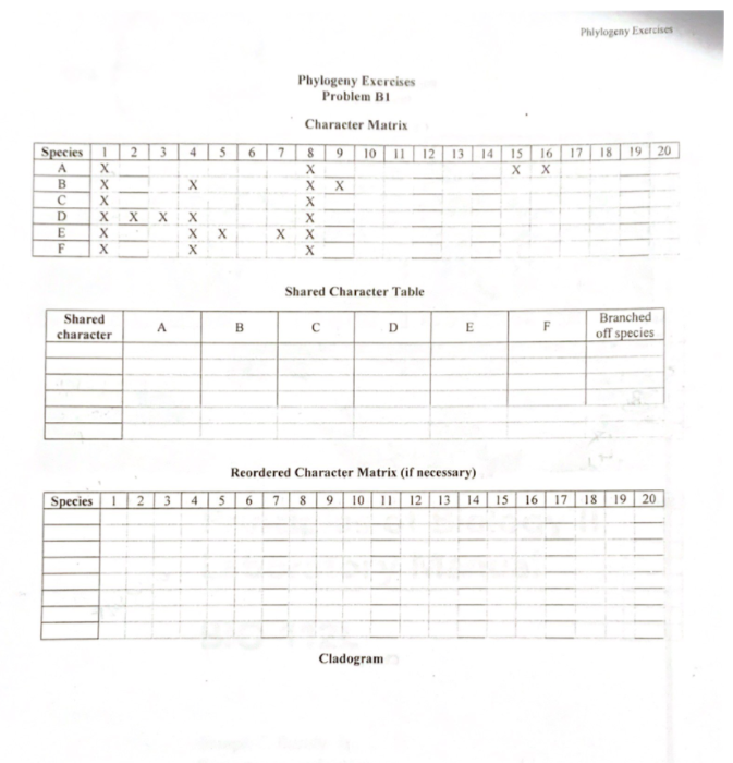 Solved Phlylogeny Exercises Phylogeny Exereises Problem B | Chegg.com