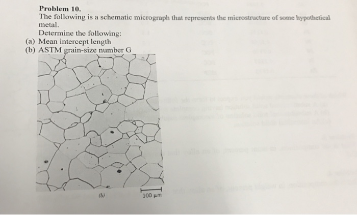 Solved The following is a schematic micrograph that | Chegg.com
