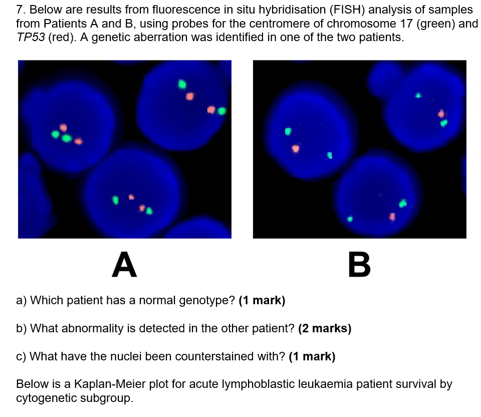 Solved 7. Below are results from fluorescence in situ | Chegg.com