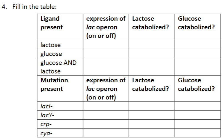 Solved 4. Fill in the table: | Chegg.com