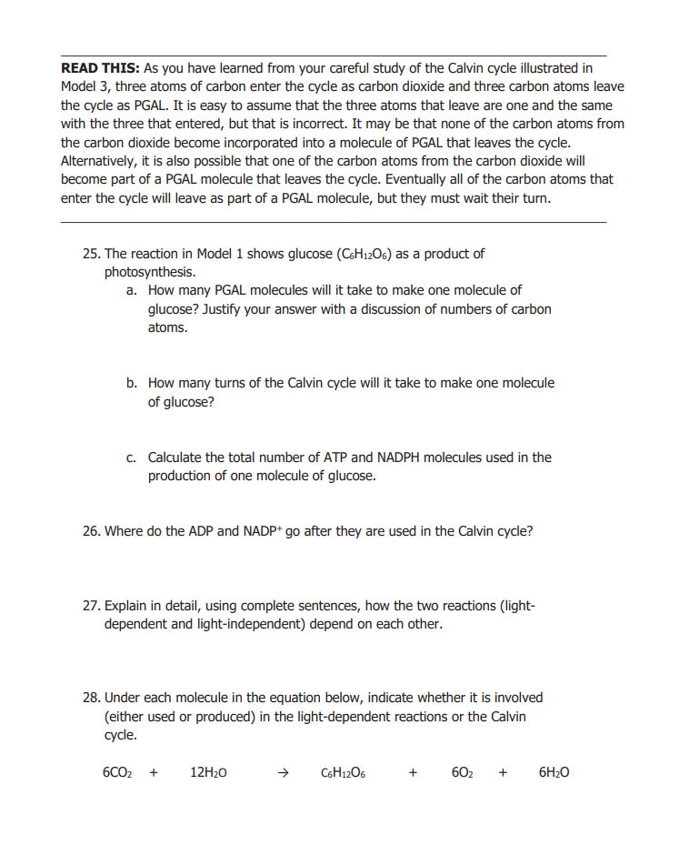 Solved Name: BI0181 Worksheet: Photosynthesis How do | Chegg.com