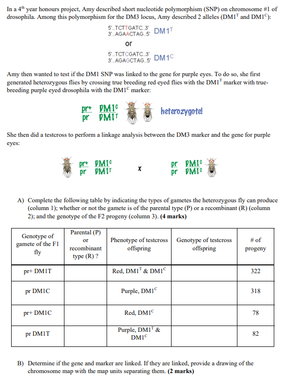 Solved In a 4th year honours project, Amy described short | Chegg.com