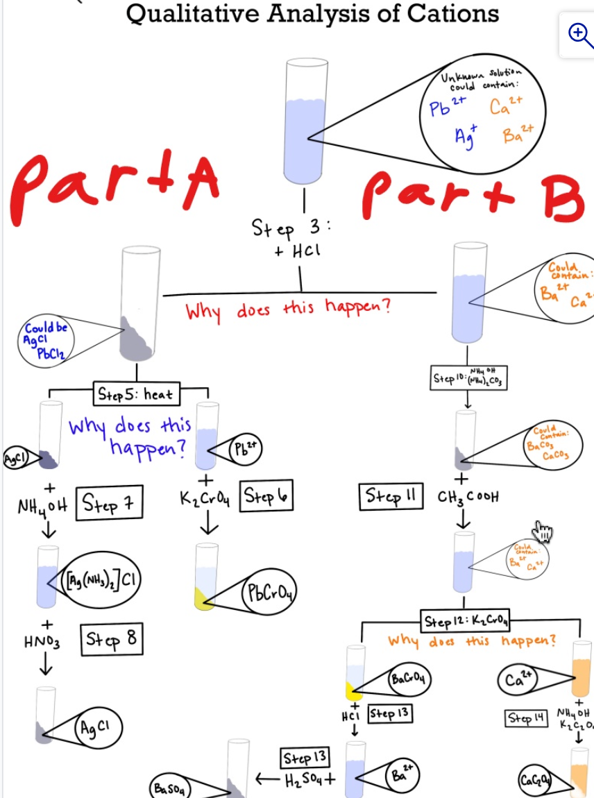 For all four potential cationsfromParts A & B, write | Chegg.com