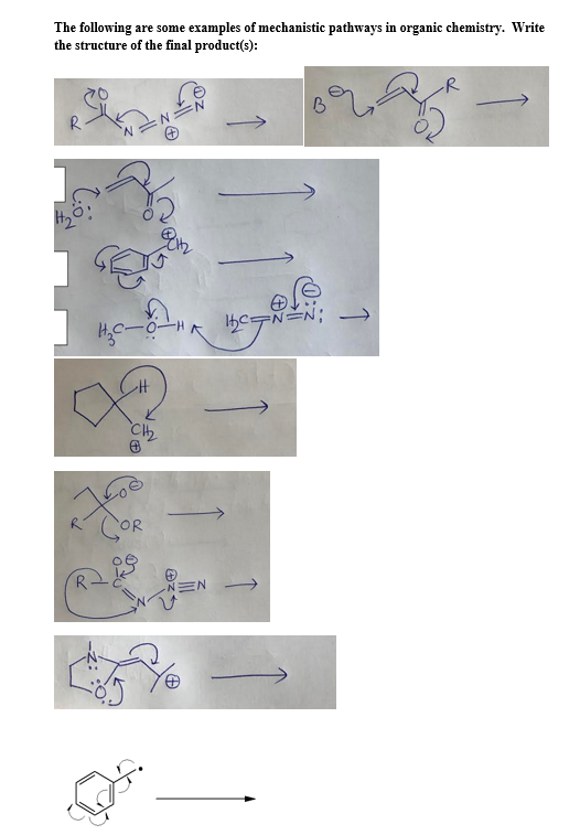 Solved The following are some examples of mechanistic | Chegg.com