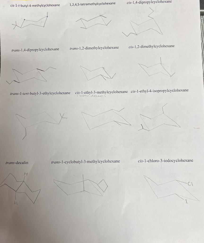 Solved Draw the most stable chair conformation for the | Chegg.com