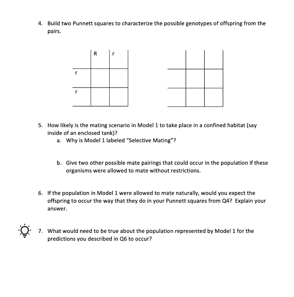Model 1: Selective Mating 4. Build two Punnett | Chegg.com