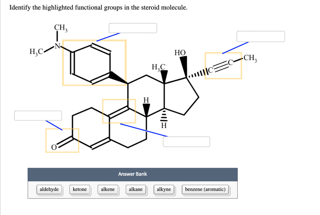 Solved Identify the highlighted functional groups in the | Chegg.com
