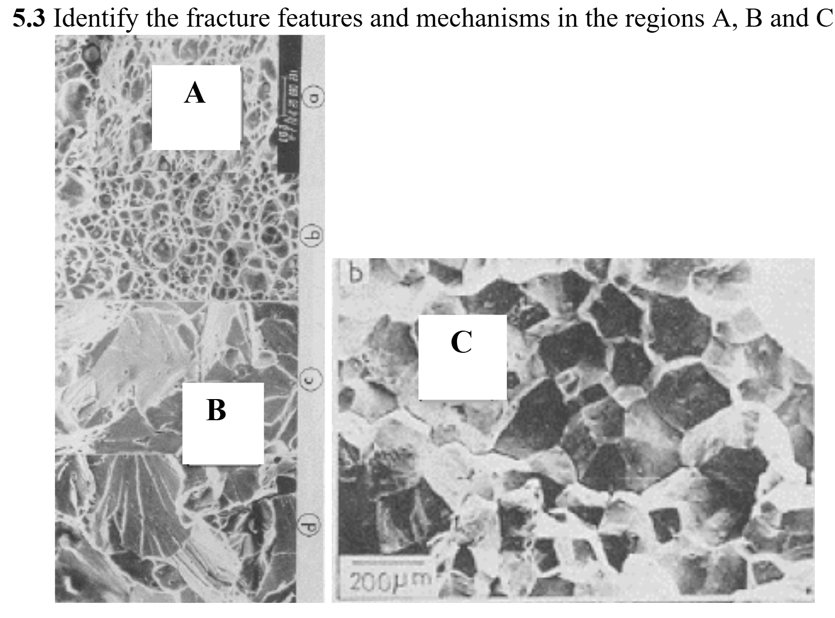 Solved 5.3 ﻿Identify the fracture features and mechanisms in | Chegg.com