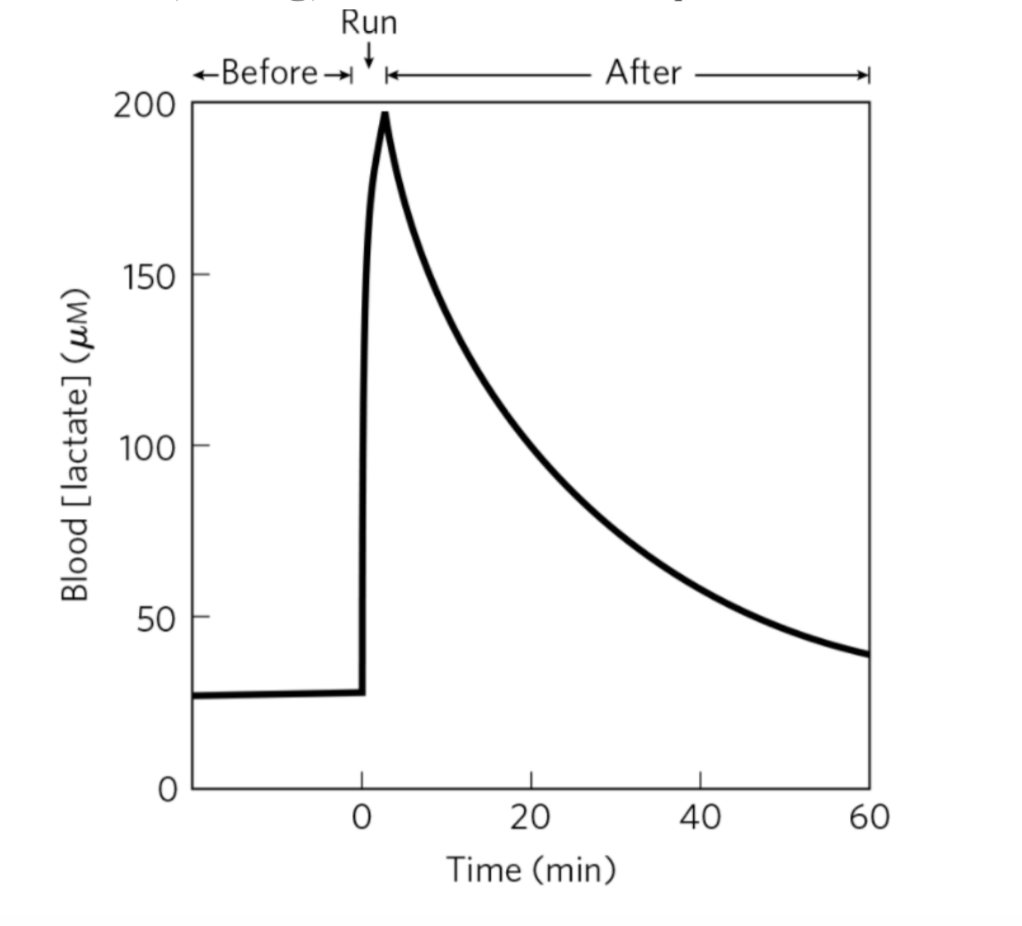 Solved Blood Lactate Levels during Vigorous Exercise The | Chegg.com