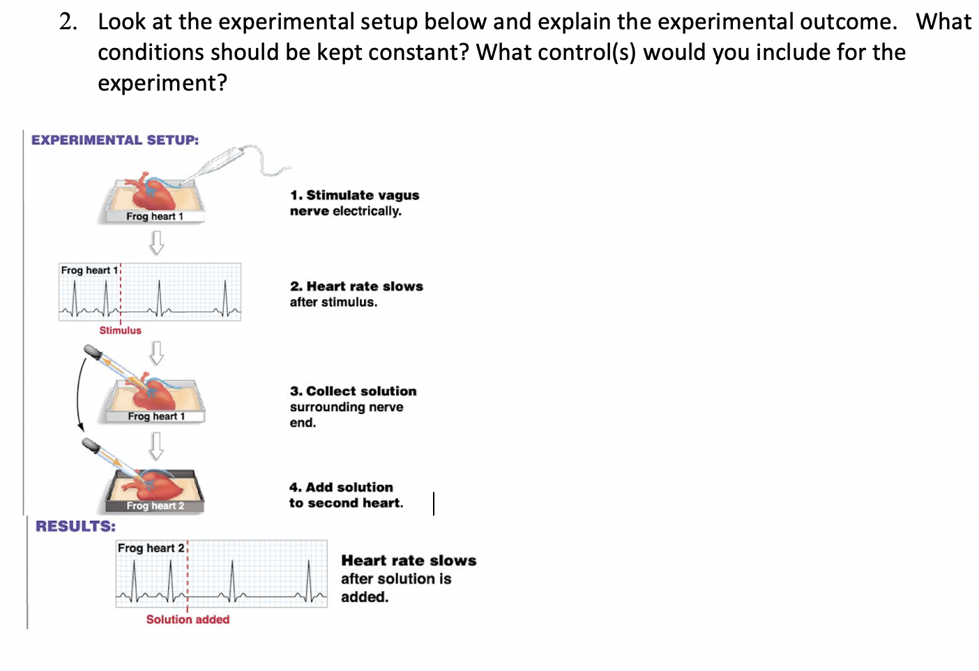 Frog Heart Experiment