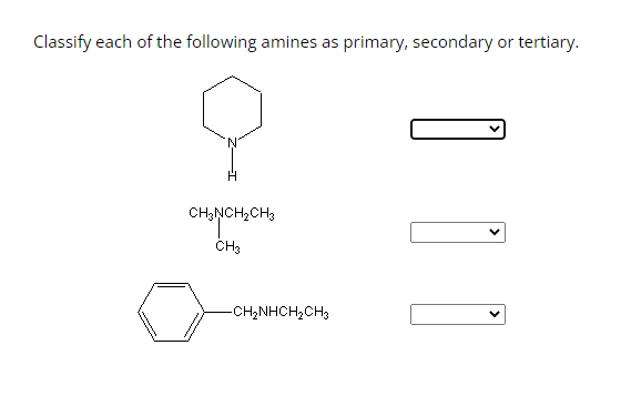 Solved Classify each of the following amines as primary, | Chegg.com