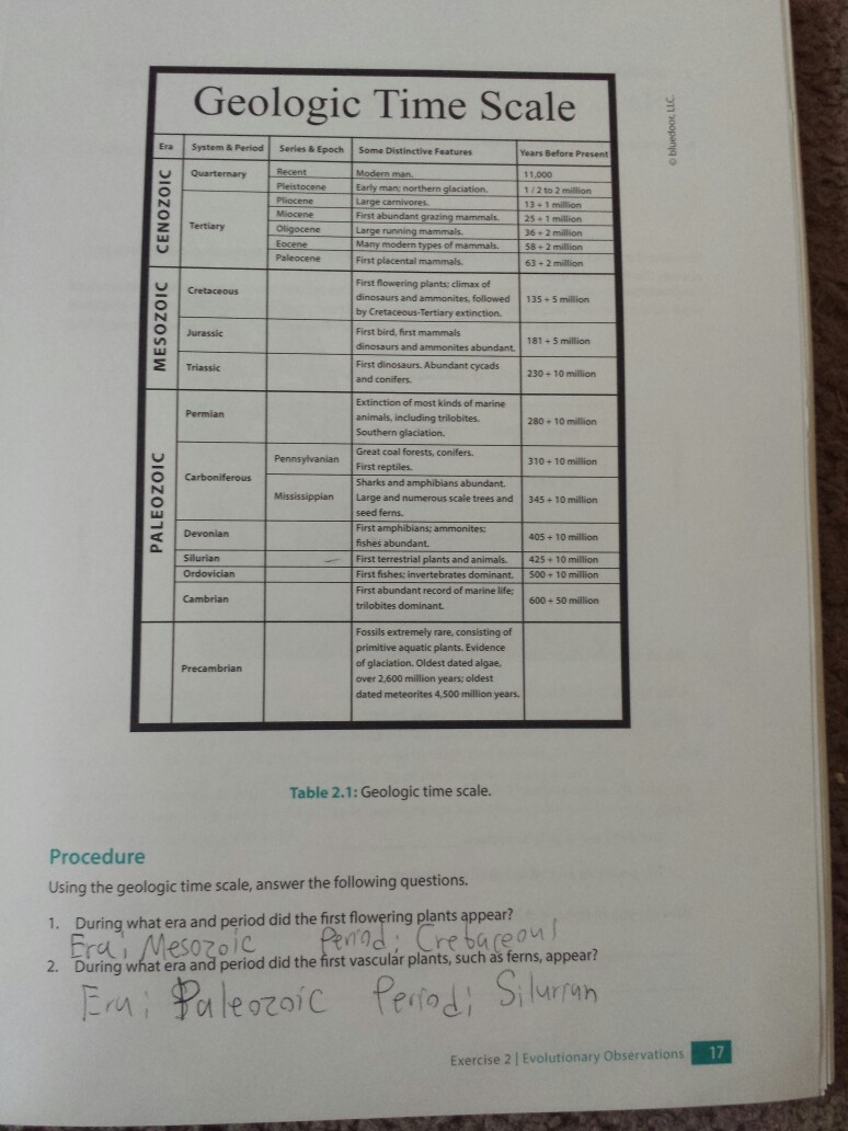 Solved please refer to the geological time scale and to the | Chegg.com