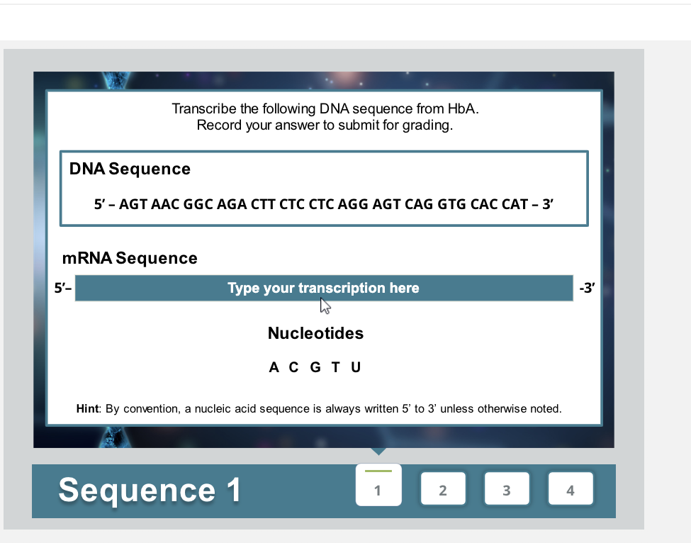 Solved mRNA Sequence Hint: By convention, a nucleic acid | Chegg.com
