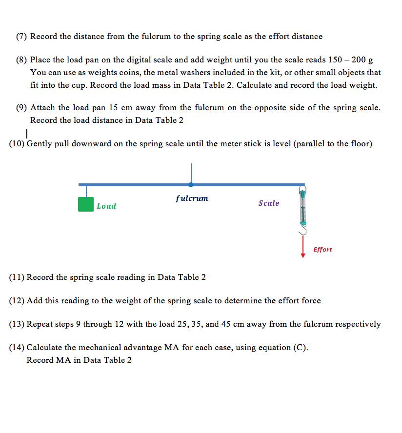 Part 2: Class One Lever (1) Using the digital scale, | Chegg.com