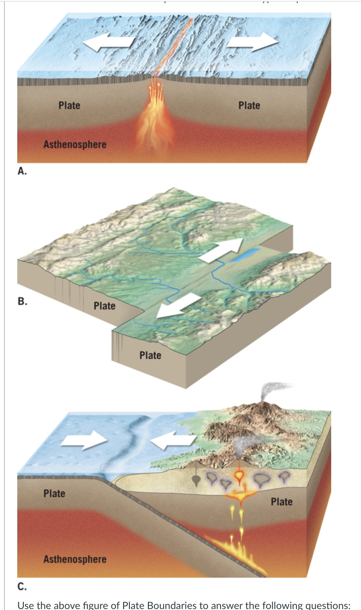 Solved Plate Tectonics Lab: This mini-lab is to dive a | Chegg.com