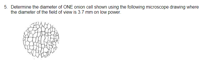 Solved SBI 3C Microscope Calculations 1. Complete the | Chegg.com