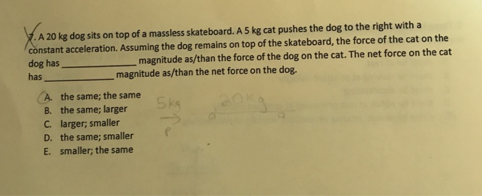 Solved A 20 kg dog sits on top of a massless skateboard. A 5 | Chegg.com