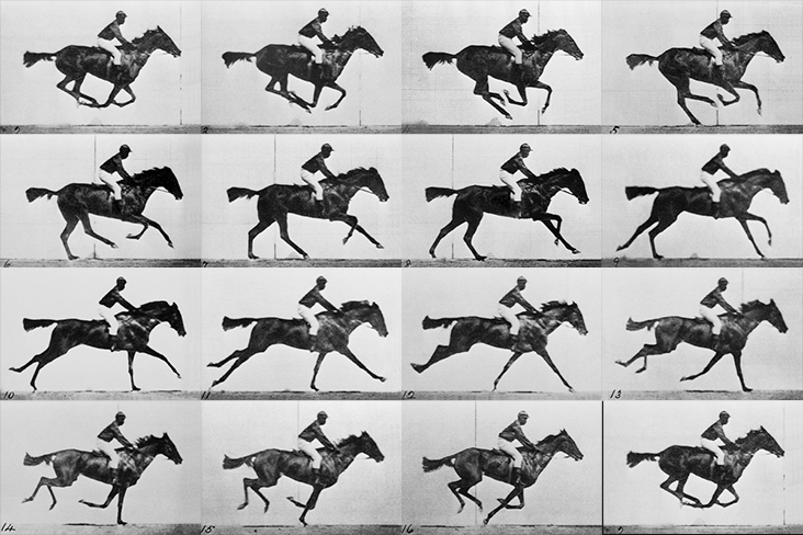 python code for horse running # Running horse # | Chegg.com