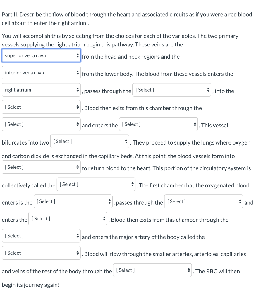 Solved Part II. Describe the flow of blood through the heart | Chegg.com