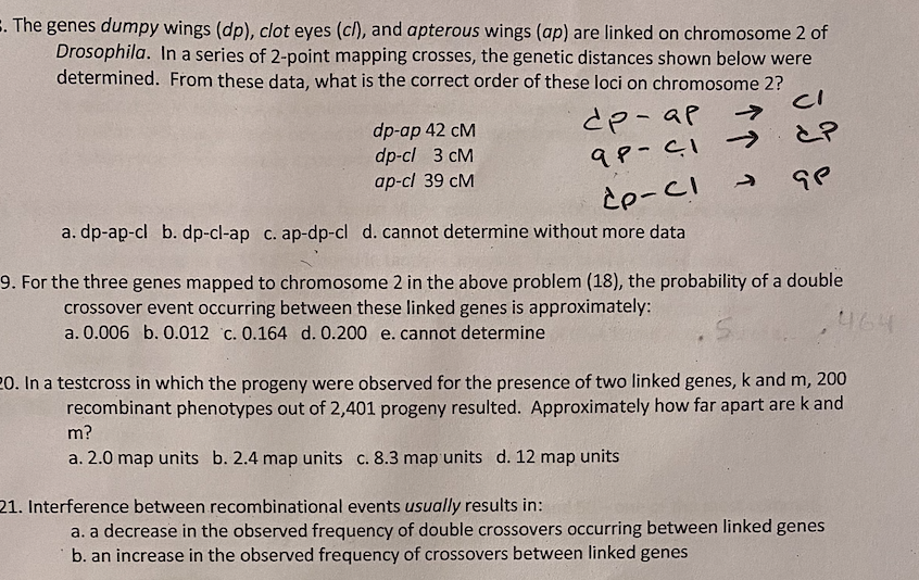 Solved The genes dumpy wings (dp), clot eyes (c)), and | Chegg.com