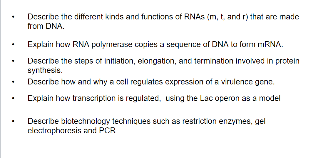 Solved Describe the different kinds and functions of RNAs | Chegg.com