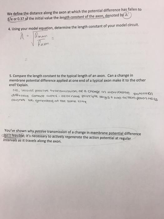 Lab 7.2 MODELING THE ACTION POTENTIAL Part ll | Chegg.com