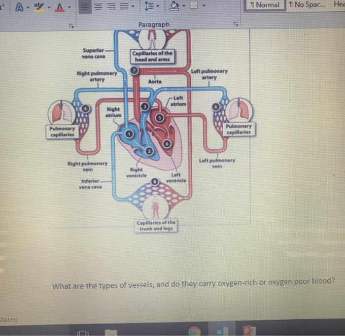 Solved What are the types of vessels, and do they carry | Chegg.com