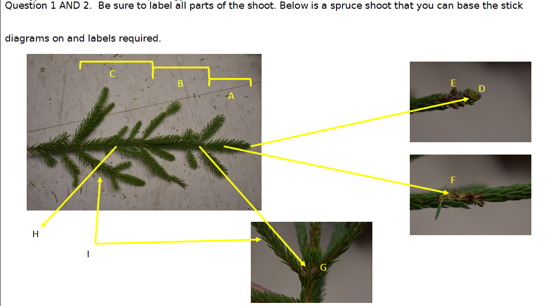 Question 1 AND 2. Be sure to label all parts of the | Chegg.com