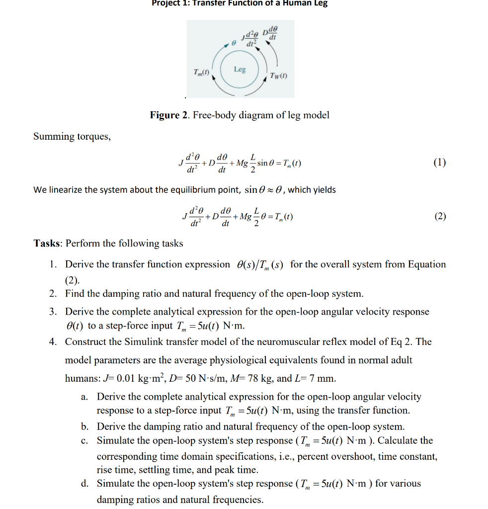 Solved Project 1: Transfer Function of a Human Leg do ode dr | Chegg.com