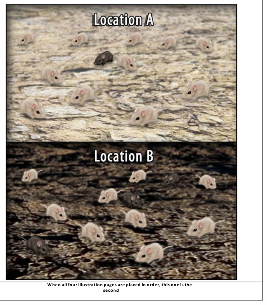 Solved Location A Location B When all four illustration | Chegg.com