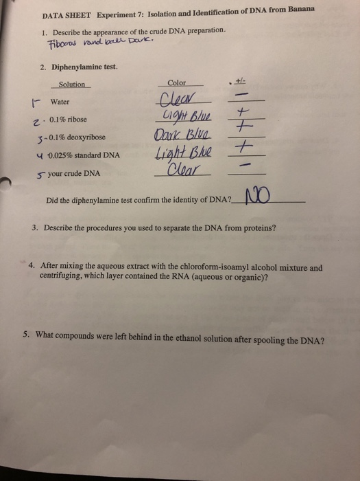 Solved POST-LAB QUESTIONS 1. Can the diphenylamine, reagent | Chegg.com