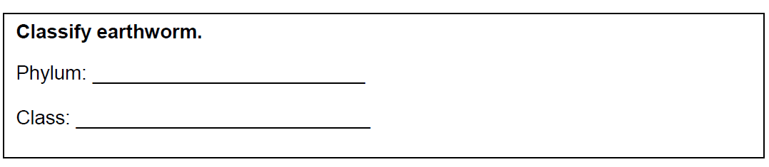 Solved Dissection of earthworm Label 5 external features of | Chegg.com