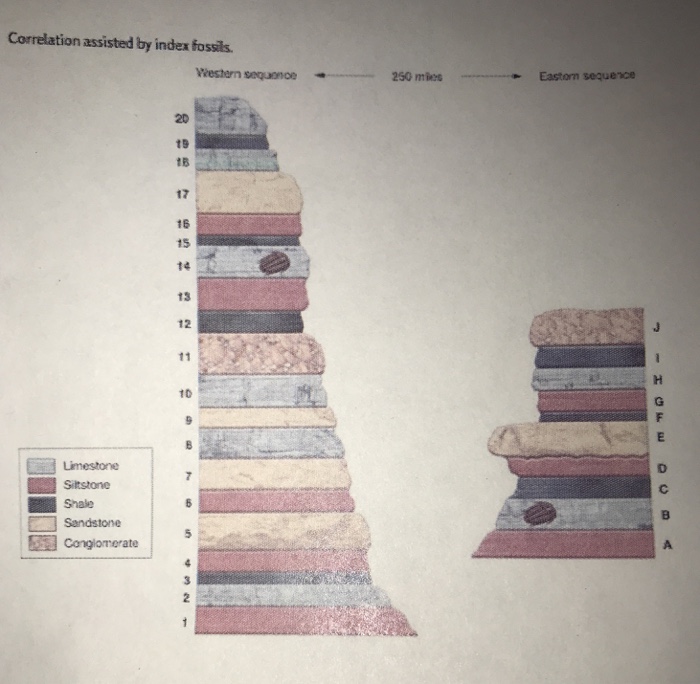 Solved Correlation assisted by index fossils 250 mies Eastom | Chegg.com