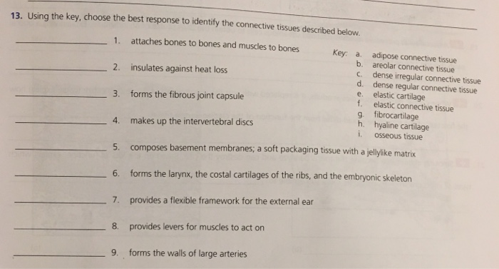 Solved 13. Using the key, choose the best response to | Chegg.com
