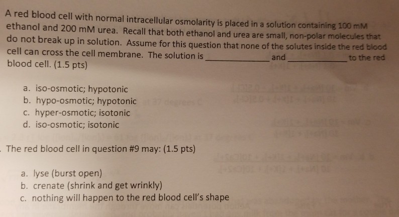 Solved A red blood cell with normal intracellular osmolarity | Chegg.com