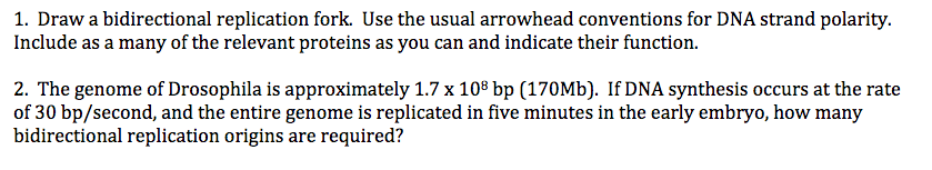 Solved 1. Draw a bidirectional replication fork. Use the | Chegg.com