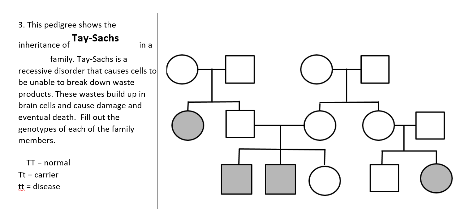 Solved 3. This pedigree shows the inheritance of Tay-Sachs | Chegg.com