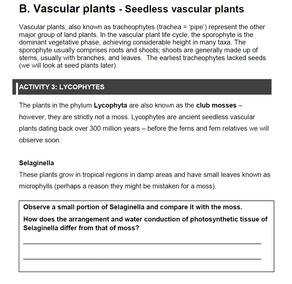 Solved B. Vascular plants - Seedless vascular plants | Chegg.com