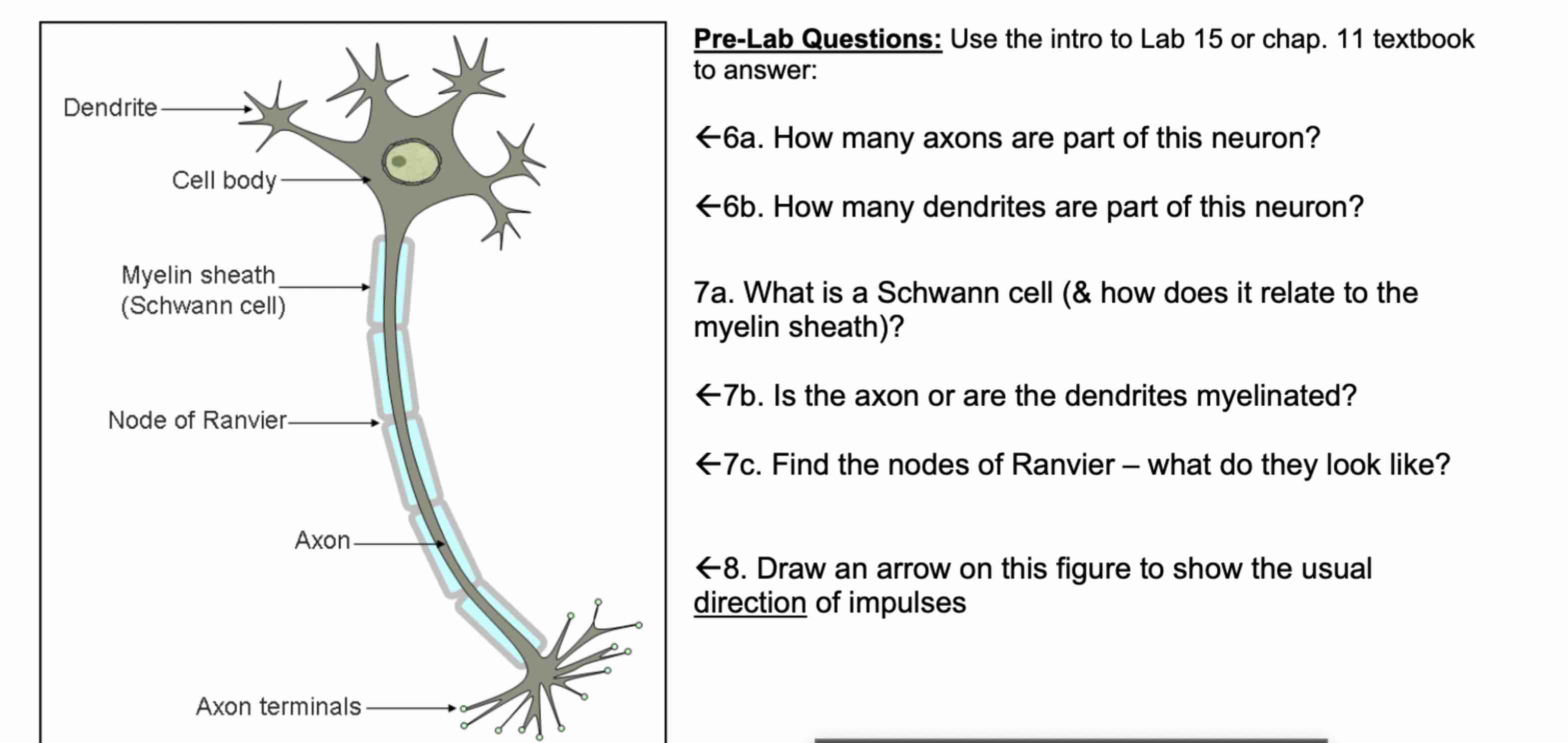 Solved Pre-Lab Questions: Use the intro to Lab 15 ﻿or chap. | Chegg.com