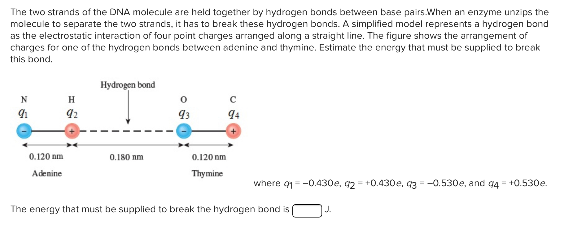 Solved The two strands of the DNA molecule are held together | Chegg.com
