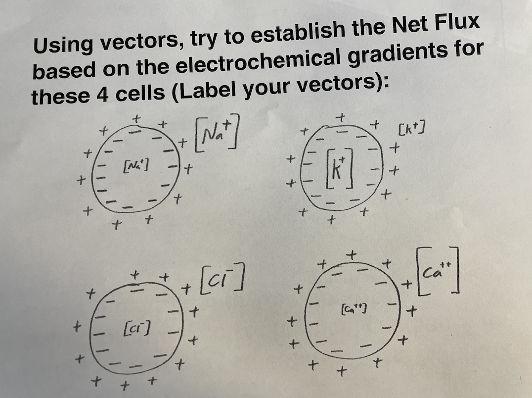 Solved Using vectors, try to establish the Net Flux based on | Chegg.com