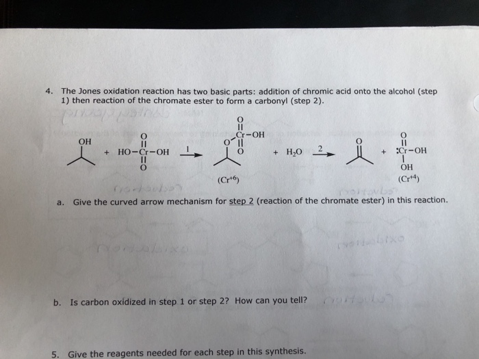 Solved 4. The Jones oxidation reaction has two basic parts: | Chegg.com