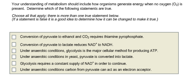 Solved Your understanding of metabolism should include how | Chegg.com