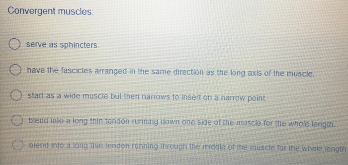Solved Convergent muscles: serve as sphincters O have the | Chegg.com
