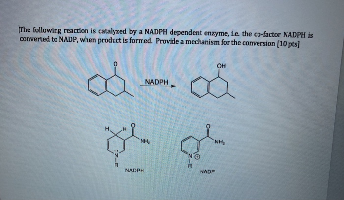 Solved The following reaction is catalyzed by a NADPH | Chegg.com