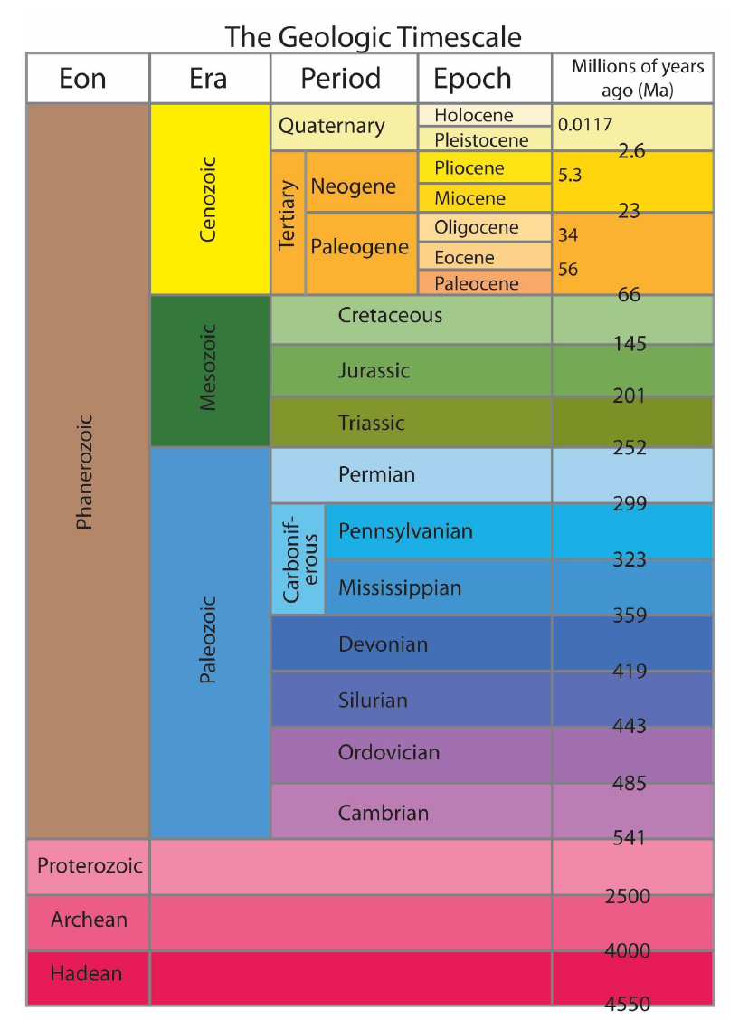 Solved Using the rocks and fossils as a guide, label the | Chegg.com