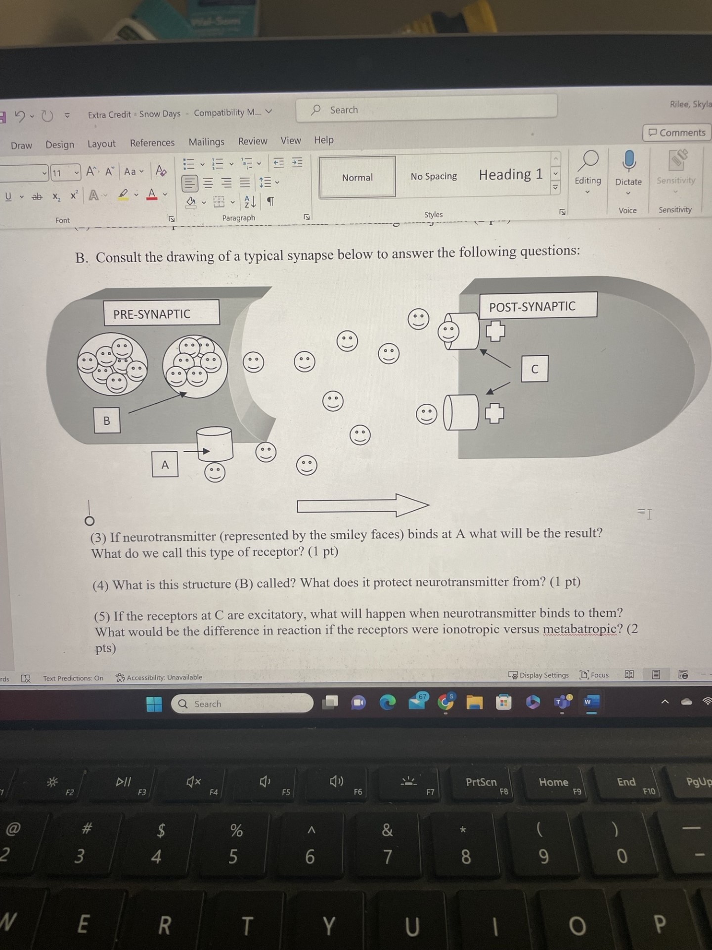 Solved B. Consult the drawing of a typical synapse below to | Chegg.com