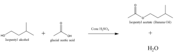 Isoamyl Acetate Reaction